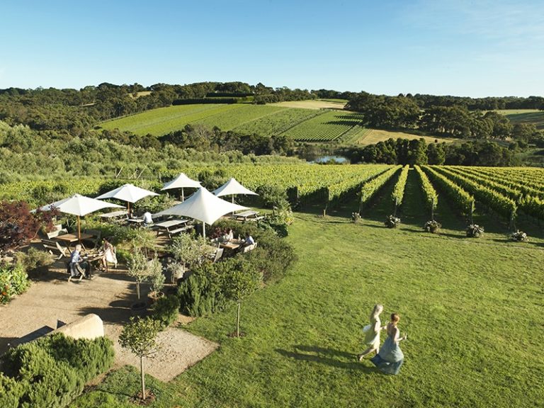 Macedon Ranges Autumn Festival: Things to Do, See & Experience (2026 Guide)