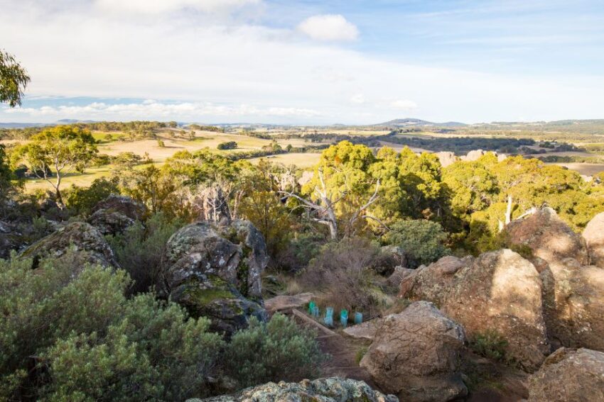 Best Things to Do in Macedon Ranges (Your 2025 Guide)