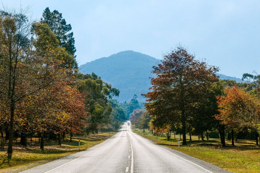 Best Things to Do in Macedon Ranges (Your 2025 Guide)